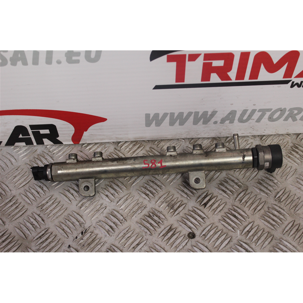 55200517 - TUBO FLAUTO RAIL INIEZIONE 500 (312) MUSA YPSILON 1.3 ...